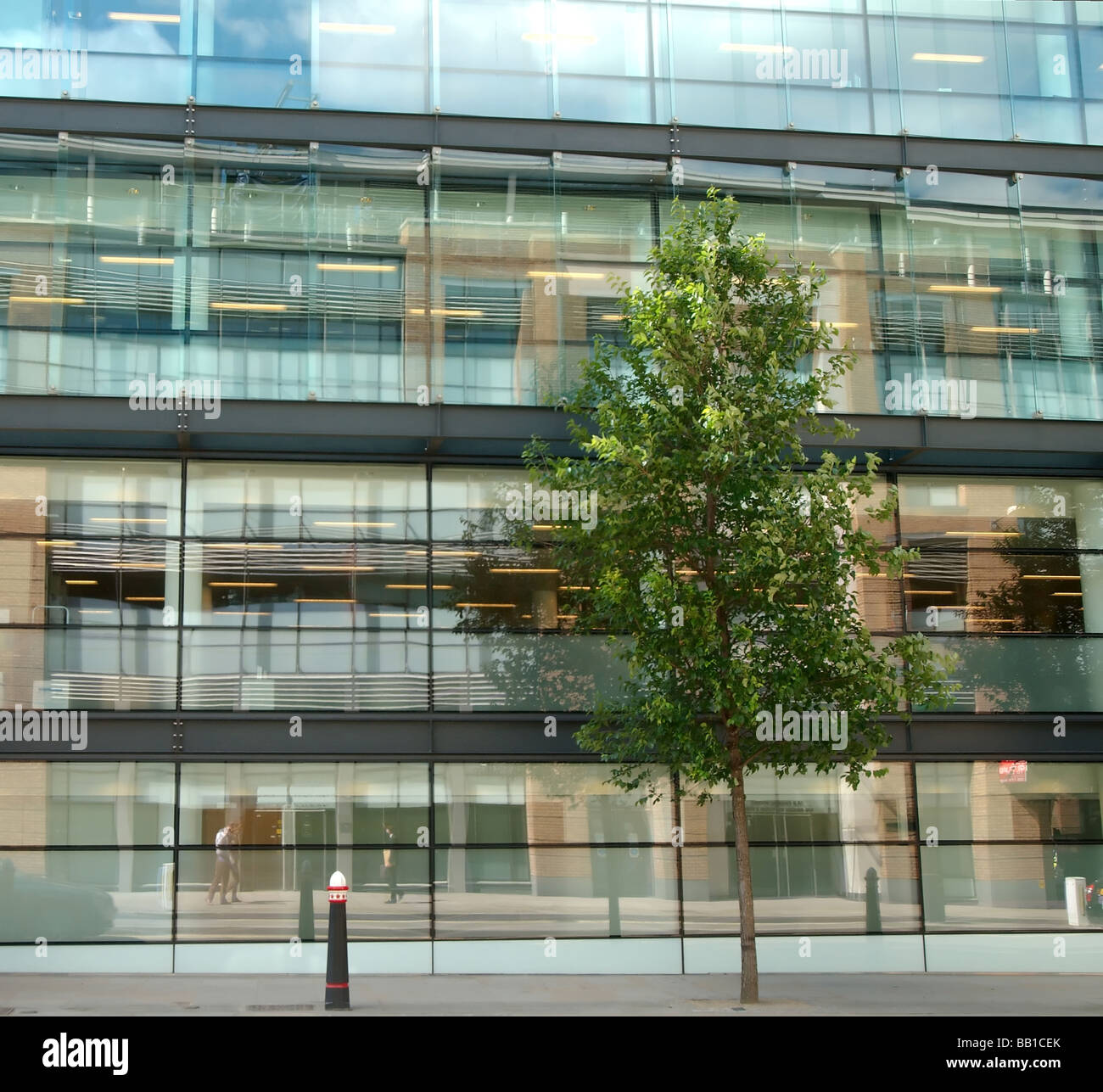 Glass office and tree Stock Photo - Alamy
