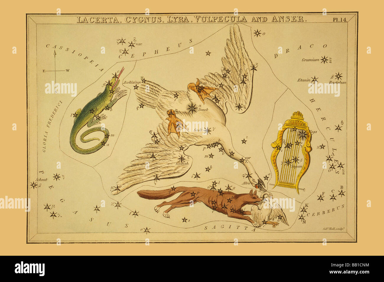 Lyra constellation hi-res stock photography and images - Alamy