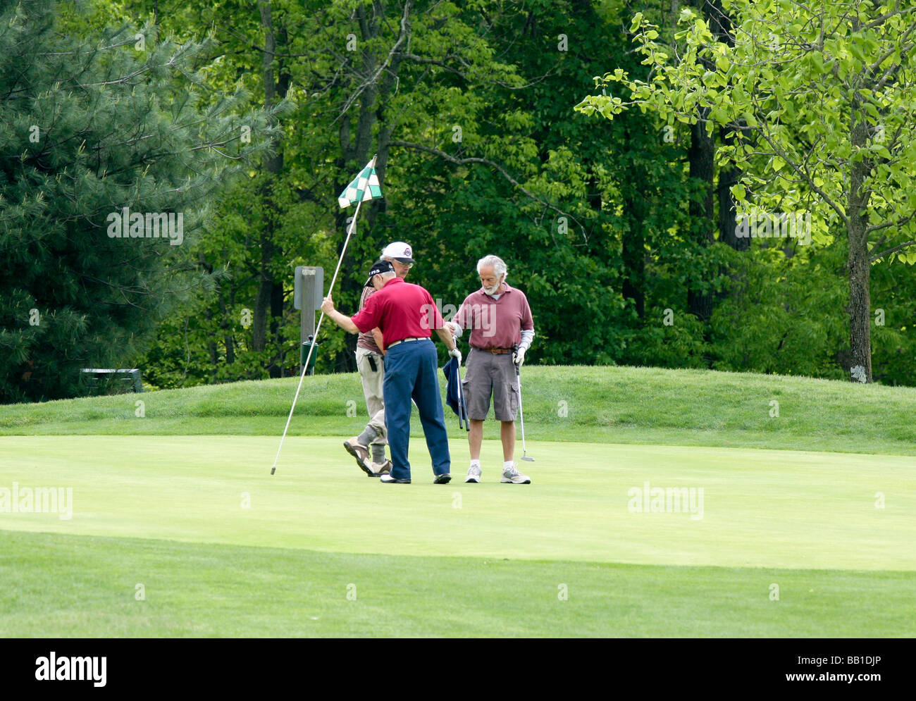 Senior men golfers on a golf green Stock Photo - Alamy