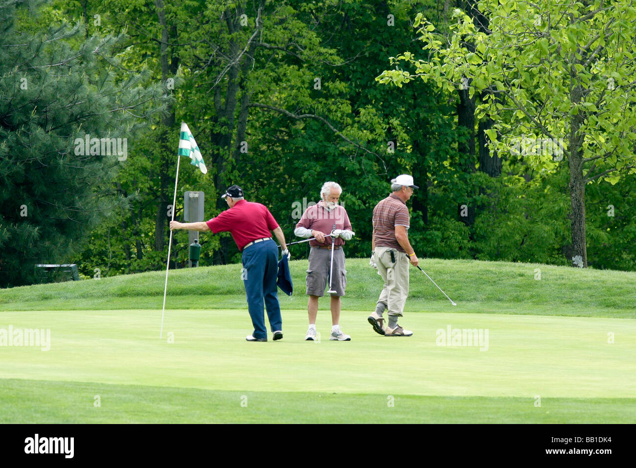 Senior men golfers on a golf green Stock Photo - Alamy