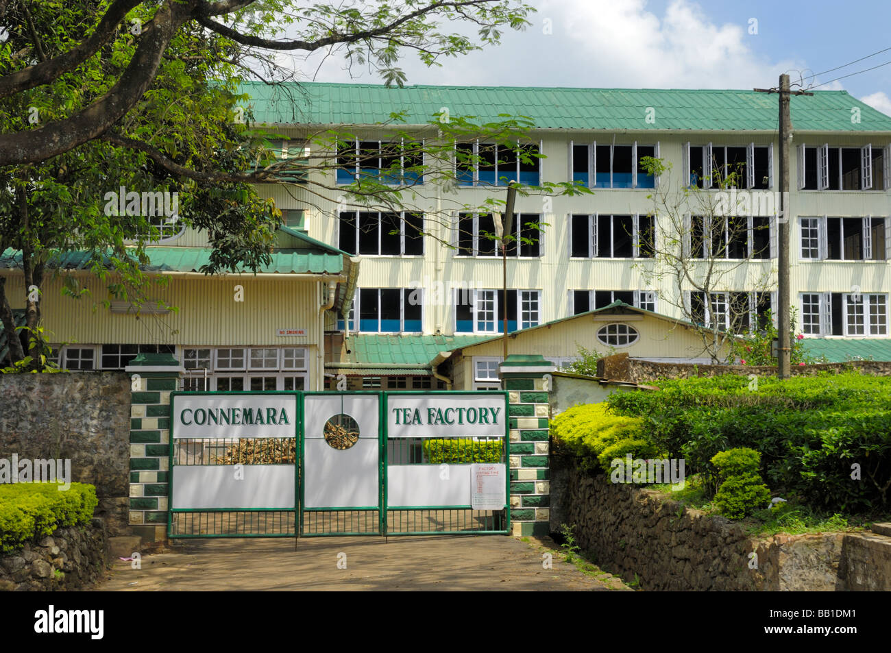 Connemara Tea Factory Kerala India Stock Photo - Alamy