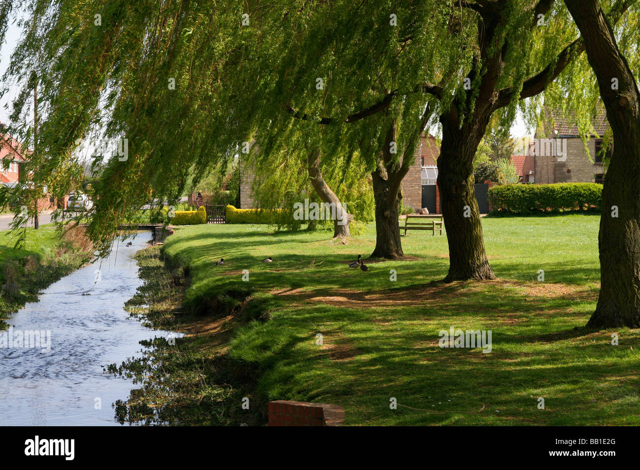 Village Green, next to a stream, Willow trees blowing in the summer ...