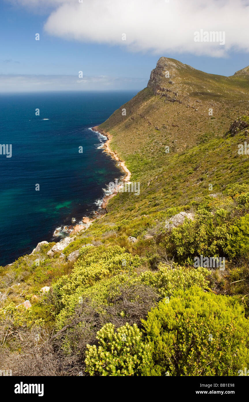 Cape Point, Table Mountain National Park, Cape Town, South Africa Stock ...
