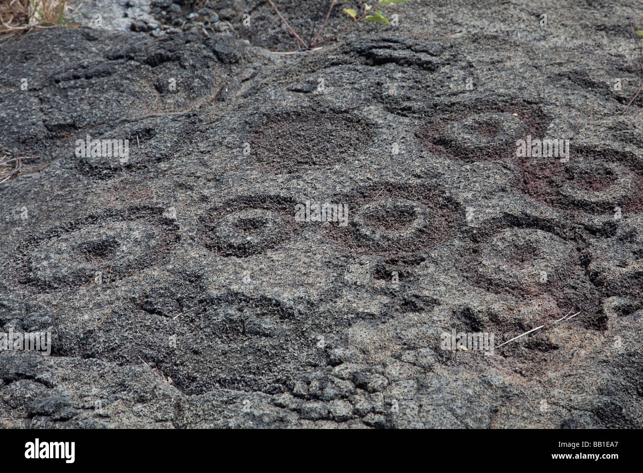 Ancient Hawaiian petroglyphs Big Island Hawaii Stock Photo - Alamy