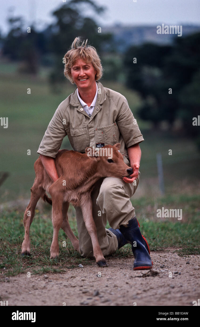 Country vet with calf, Australia Stock Photo - Alamy