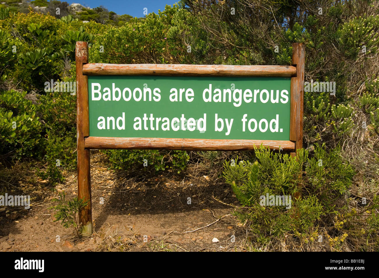 Cape Point, Table Mountain National Park, Cape Town, South Africa Stock ...