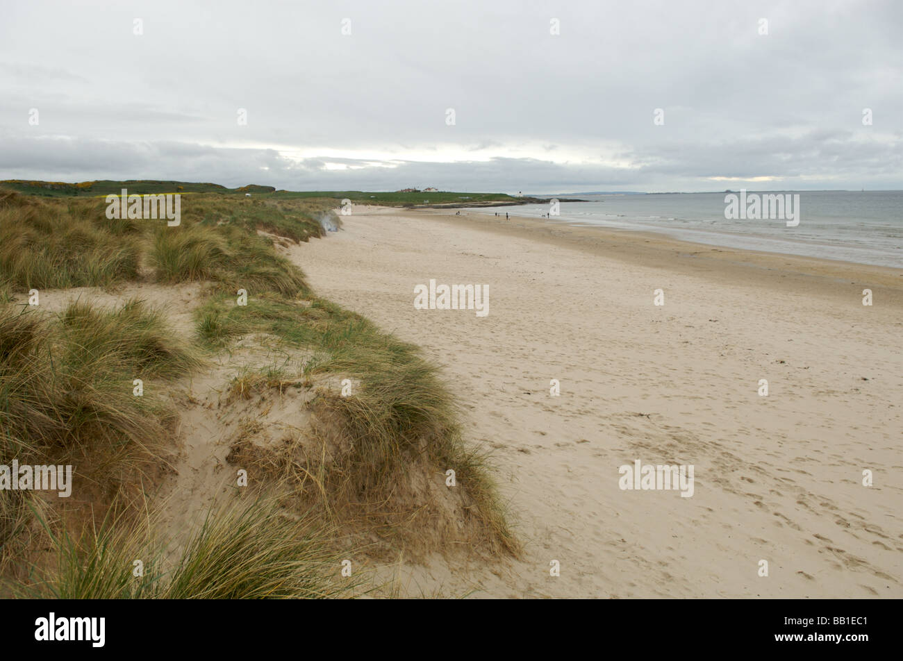 Beaches of northumberland hi-res stock photography and images - Alamy
