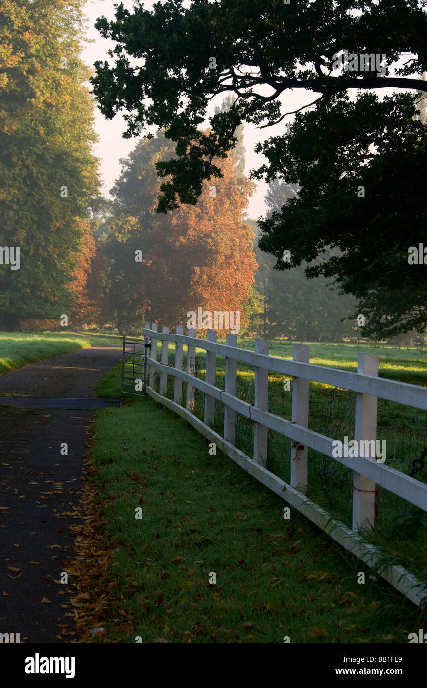 Autumn in suffolk uk hi-res stock photography and images - Alamy