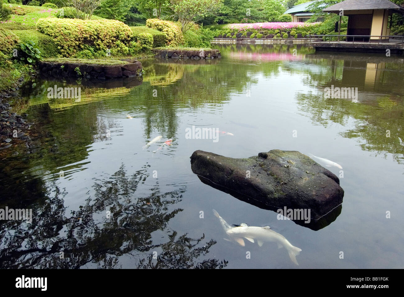 Japanese garden in springtime Stock Photo - Alamy