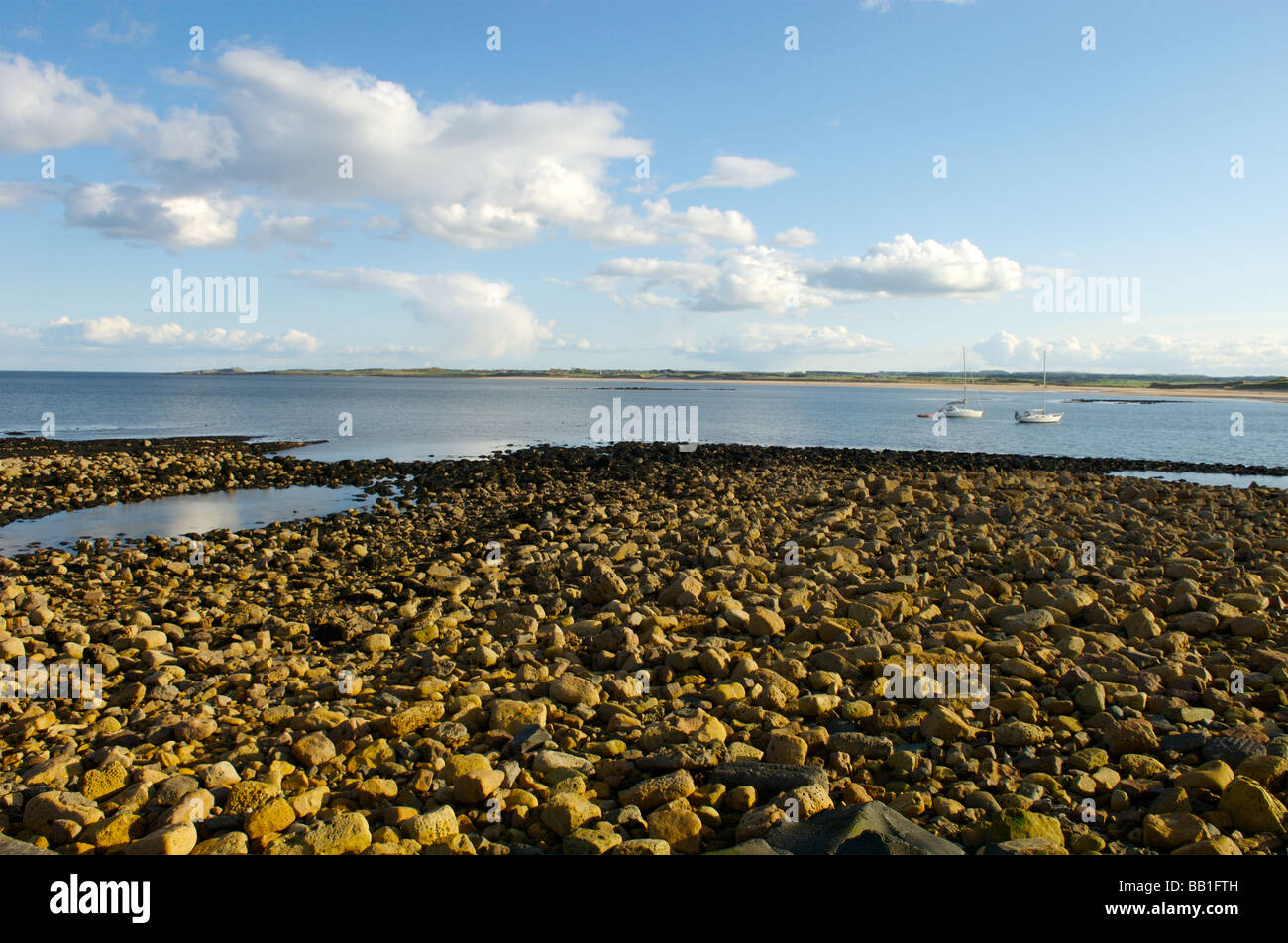 Beadnell harbour, Northumberland Stock Photo - Alamy
