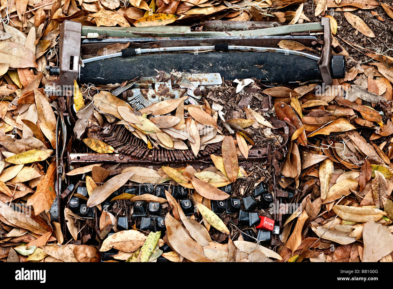 broken electric typewriter left in fallen leaves Stock Photo - Alamy