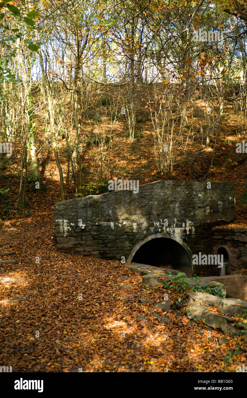 Wales canal wildlife hi-res stock photography and images - Alamy
