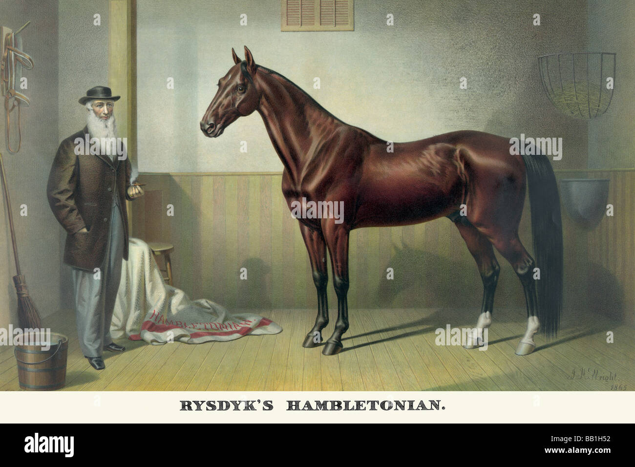 Hambletonian horse hi-res stock photography and images - Alamy