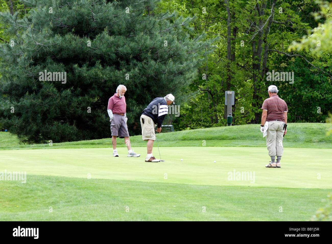 Senior men golfers on a golf green Stock Photo - Alamy
