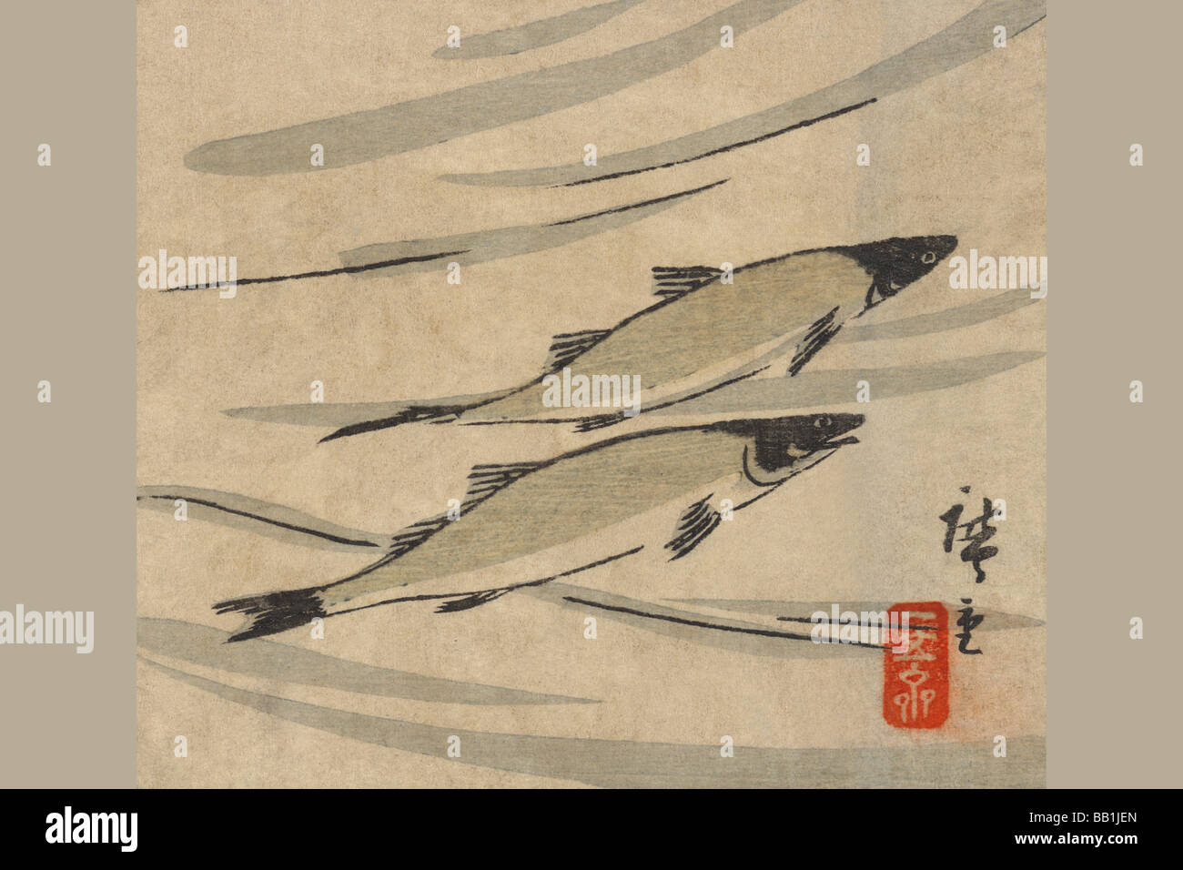 Japanese rice fish river hi-res stock photography and images - Alamy