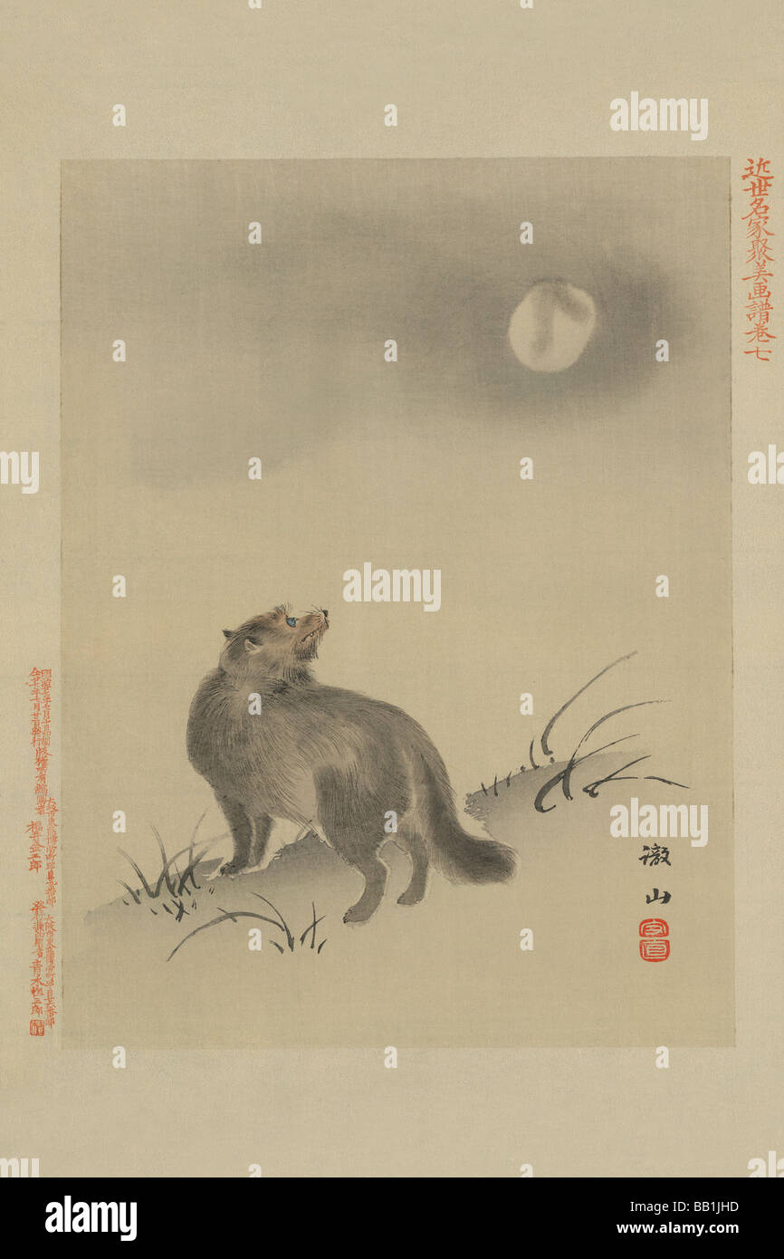 Japan fox not hokkaido hi-res stock photography and images - Alamy