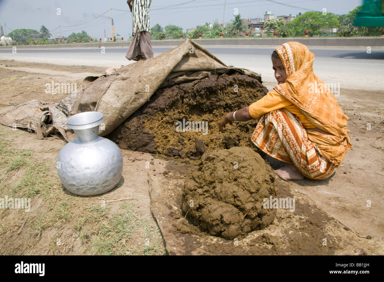 Woman collecting dung to dry & burn for heat, Dhaka, Bangladesh Stock ...