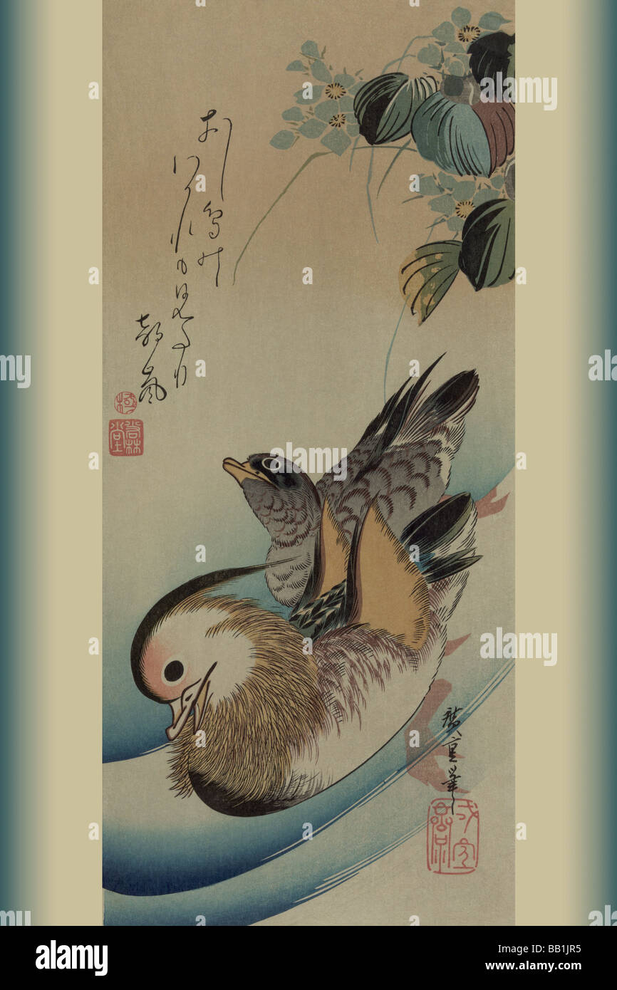 Japanese ducks hi-res stock photography and images - Alamy