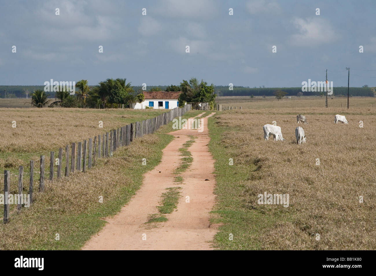 Brazil countryside hi-res stock photography and images - Alamy