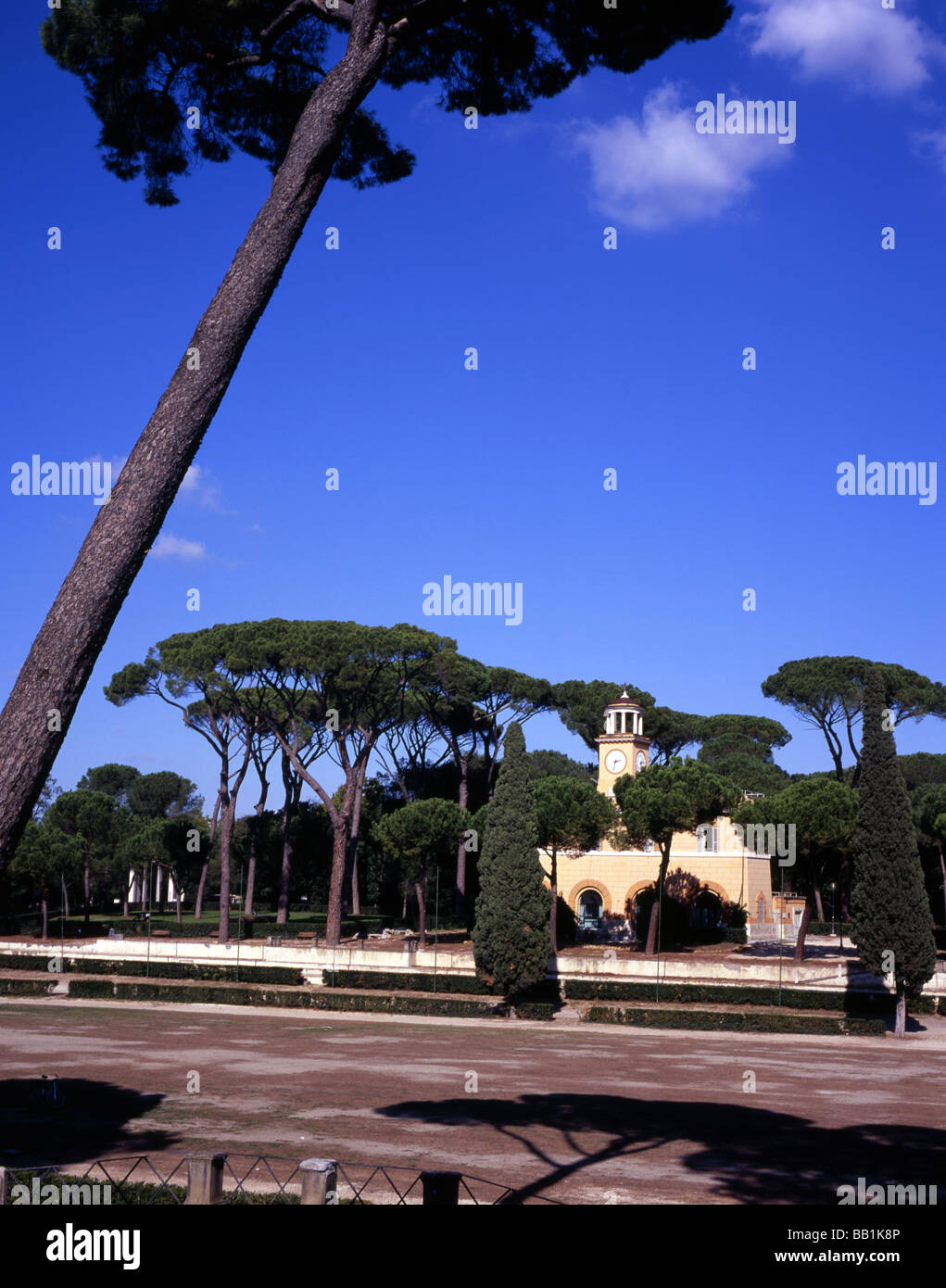 Garden gardens italian athletic track tracks stone pine pinus pinea hi ...