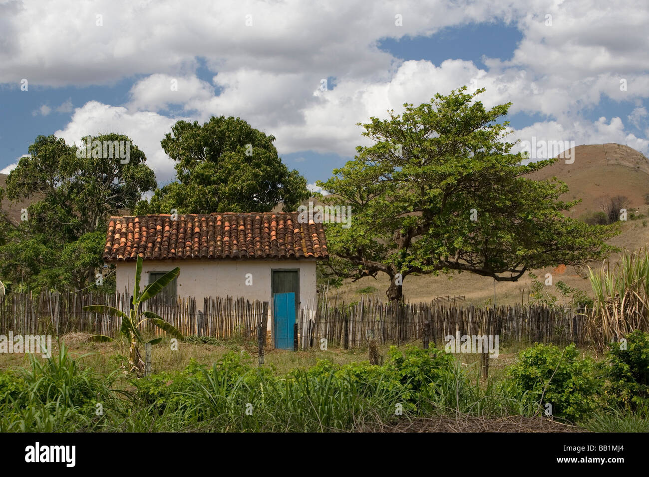 A little house in the Brazil countryside Stock Photo - Alamy