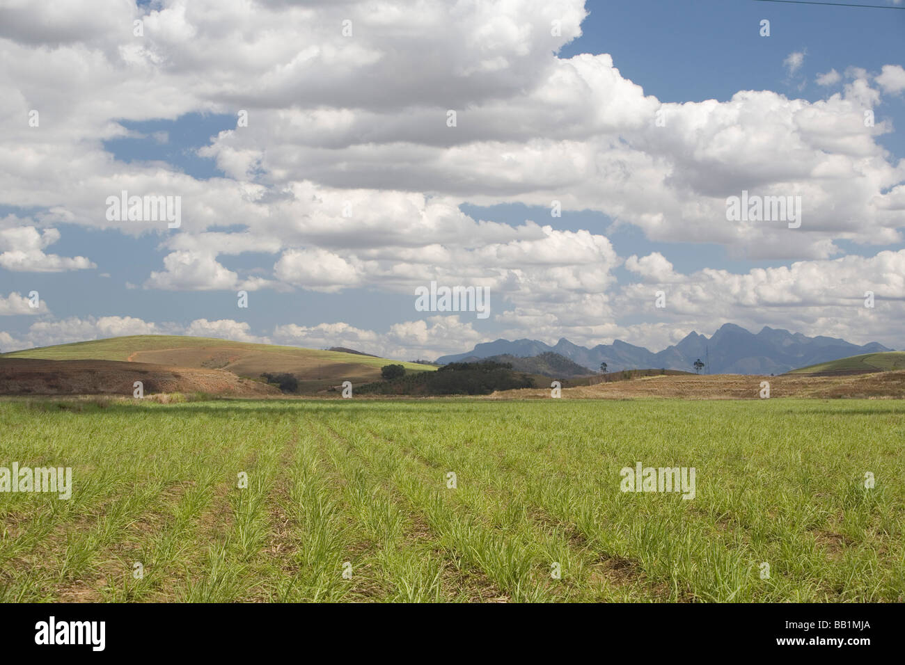 Rural landscapes in brazil hi-res stock photography and images - Alamy