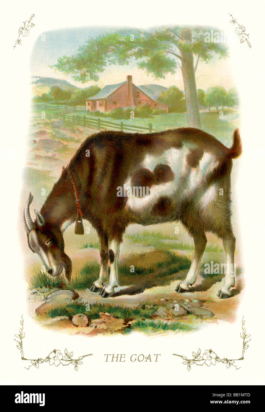 The goat book hi-res stock photography and images - Alamy