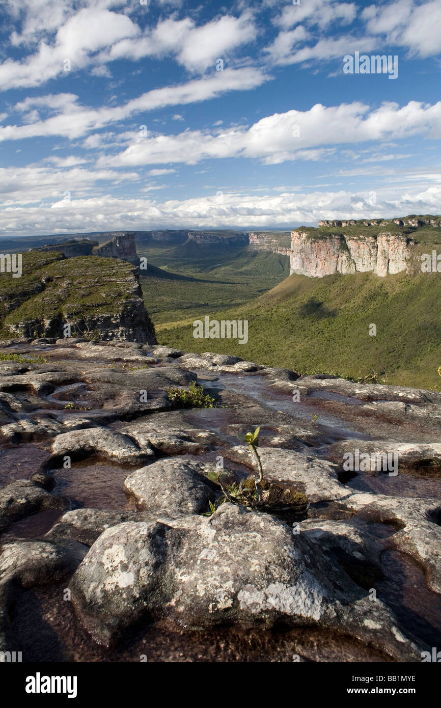 Chapata Diamantina; Brazil's Grand Canyon Stock Photo - Alamy