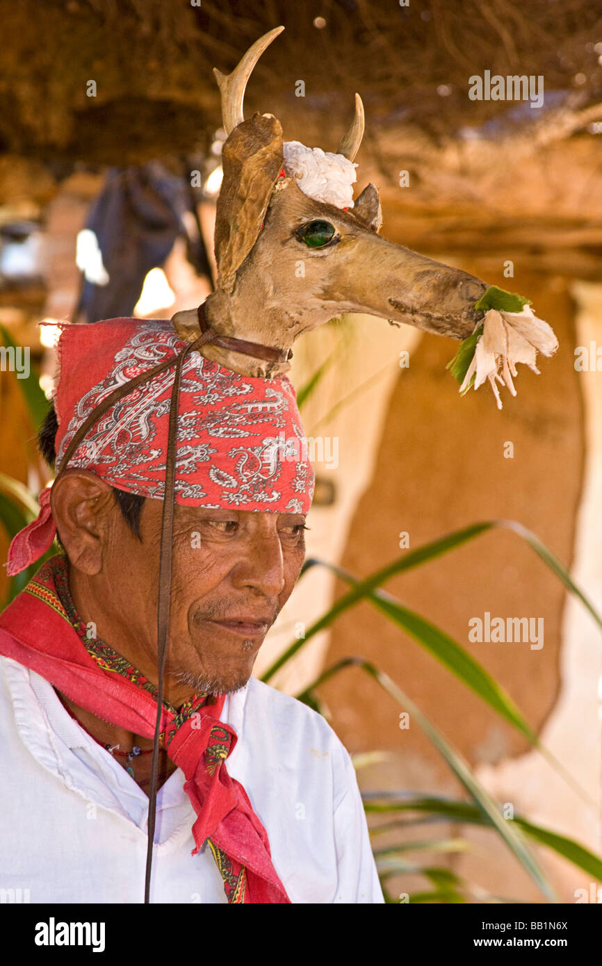 Native man dancing in ceremonial dance costume in Mayo village of ...