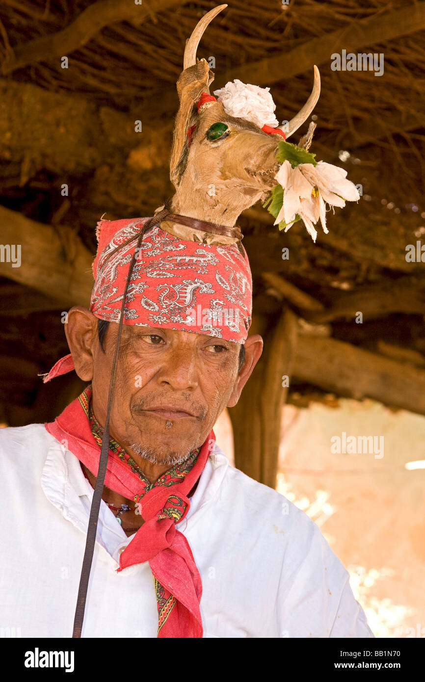 Native man dancing in ceremonial dance costume in Mayo village of ...