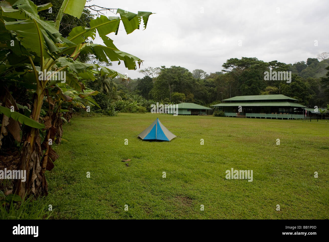 At the Sirena Ranger Station in Corcovado National Park, Costa RIca ...