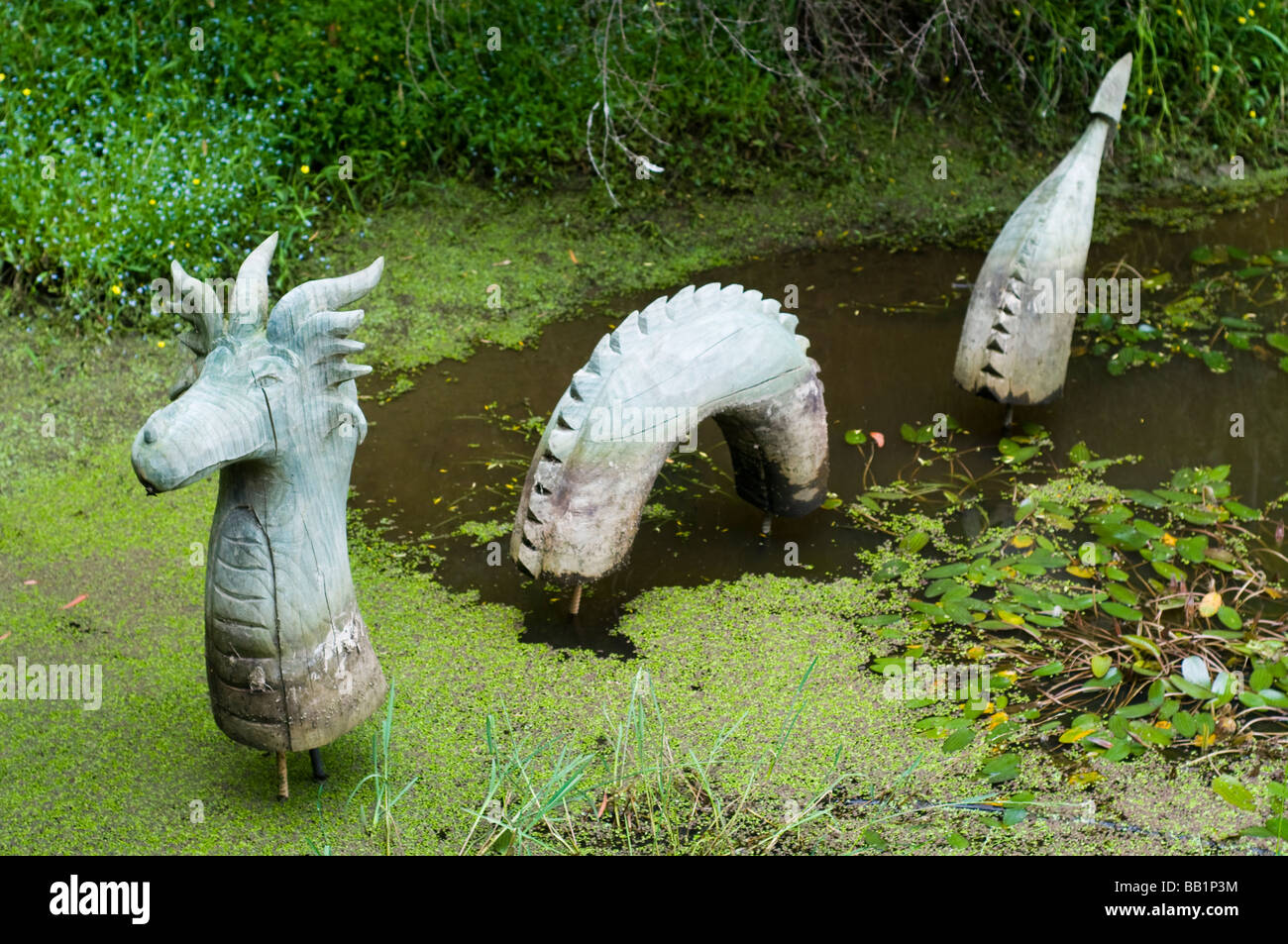 Waitakaruru Arboretum and Sculpture Park Stock Photo - Alamy