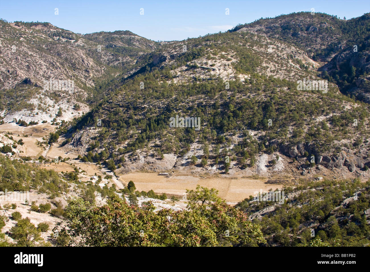 Aerial view of a typical valley in Copper Canyon Mexico with a ...