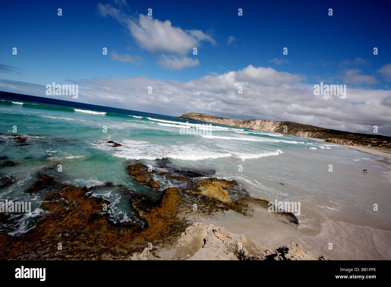 beach on kangaroo island Stock Photo - Alamy