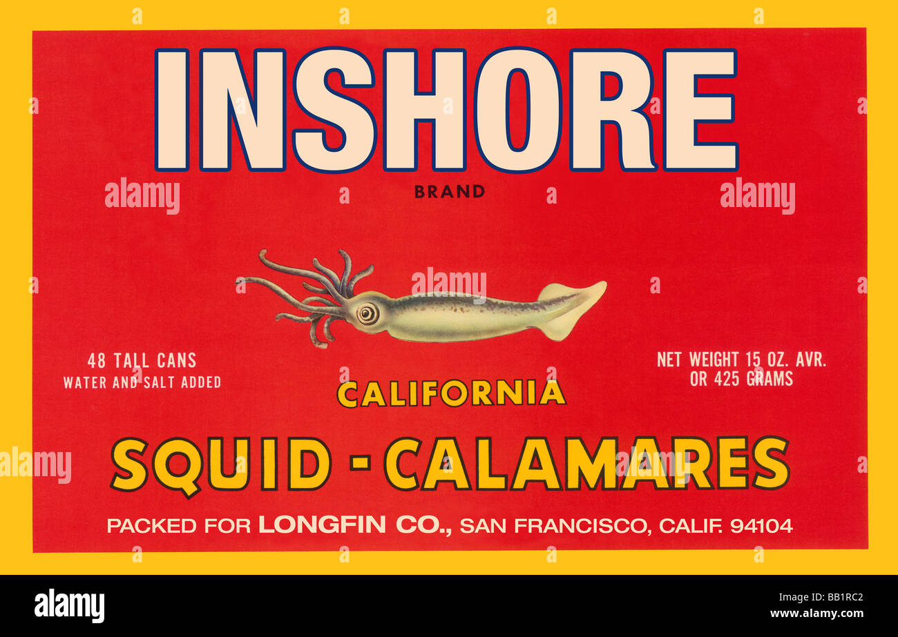 Longfin inshore squid hi-res stock photography and images - Alamy