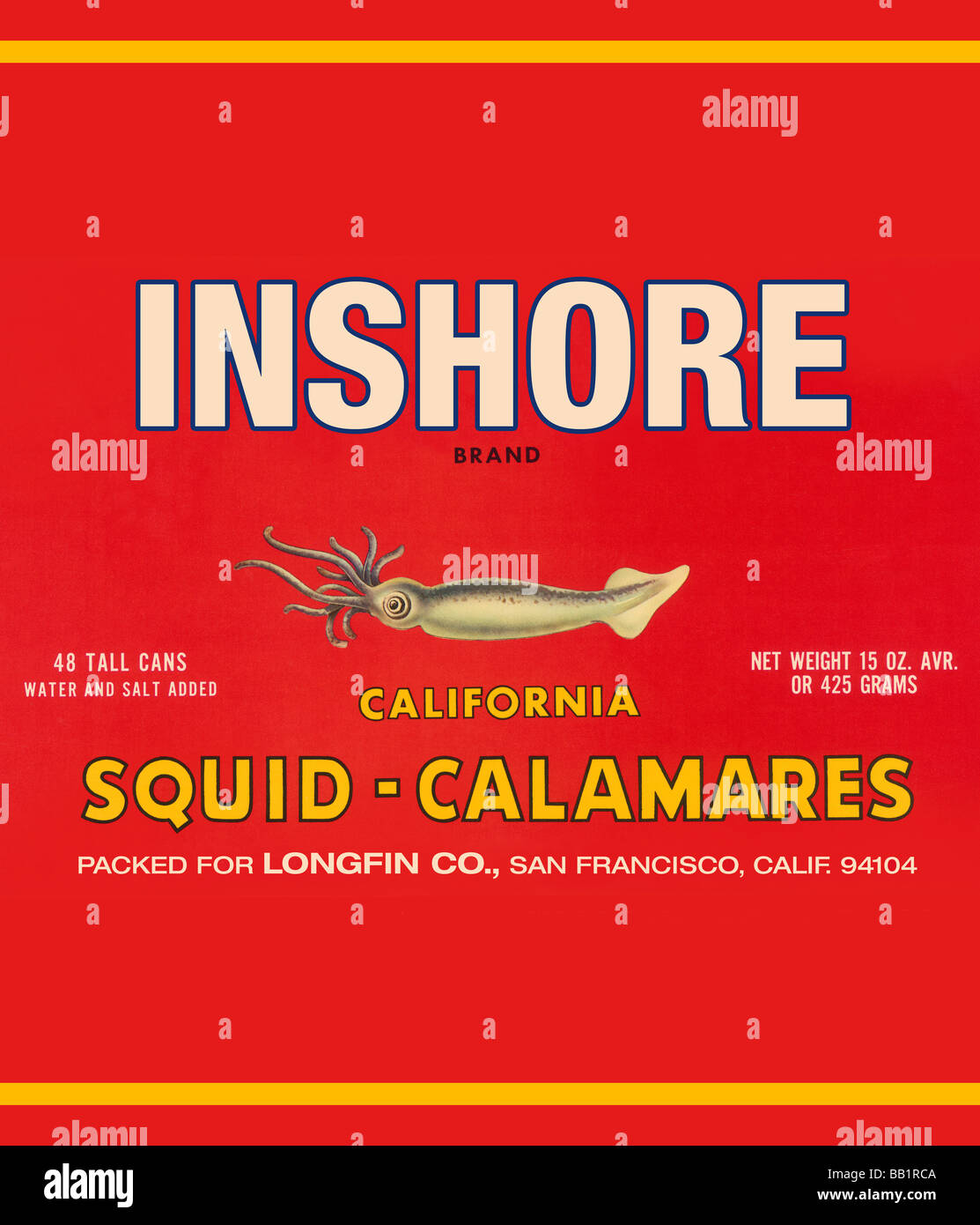 Longfin inshore squid hi-res stock photography and images - Alamy