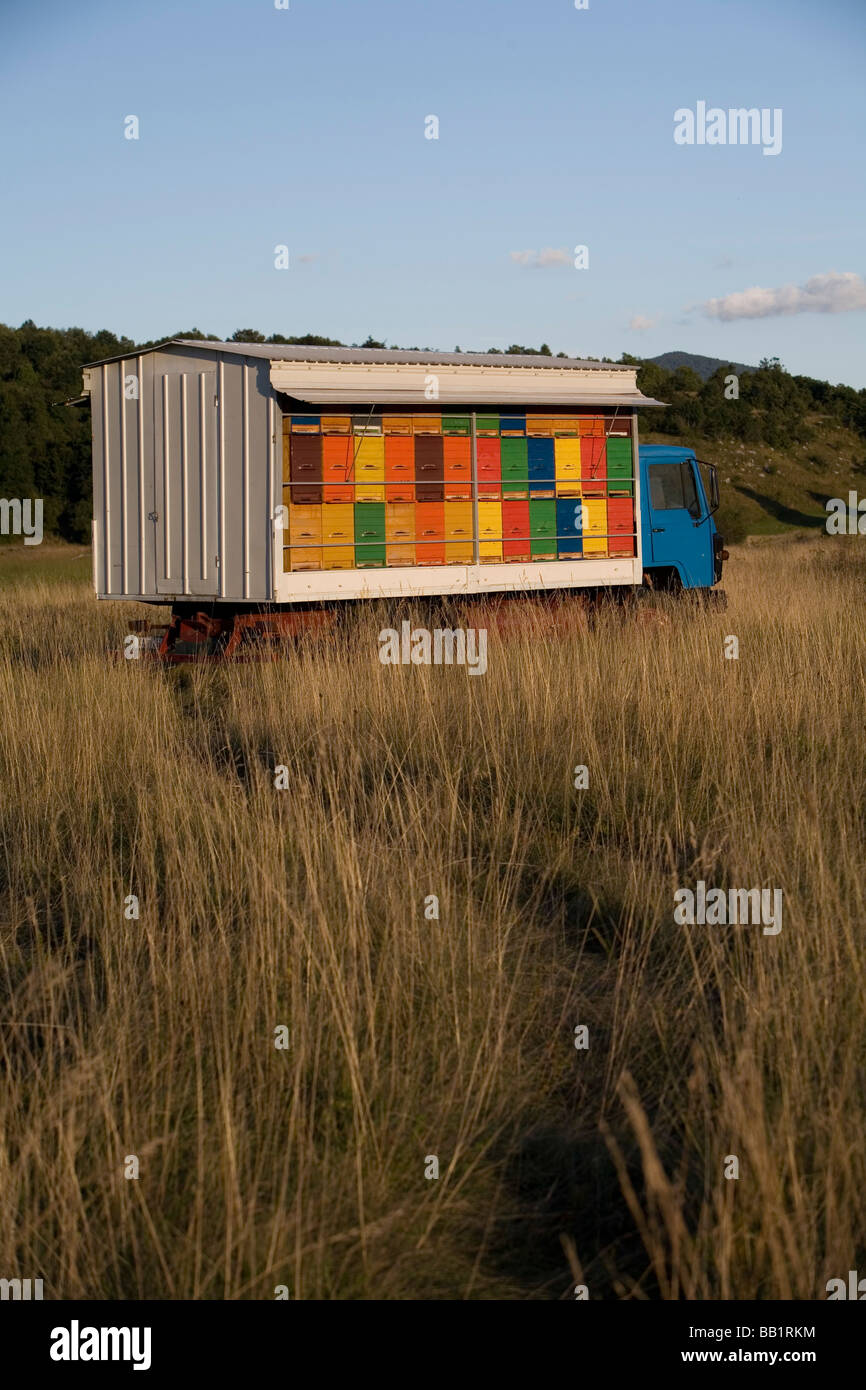 Traveling Croatia; A bee keepers colorful bee truck in a field on the ...