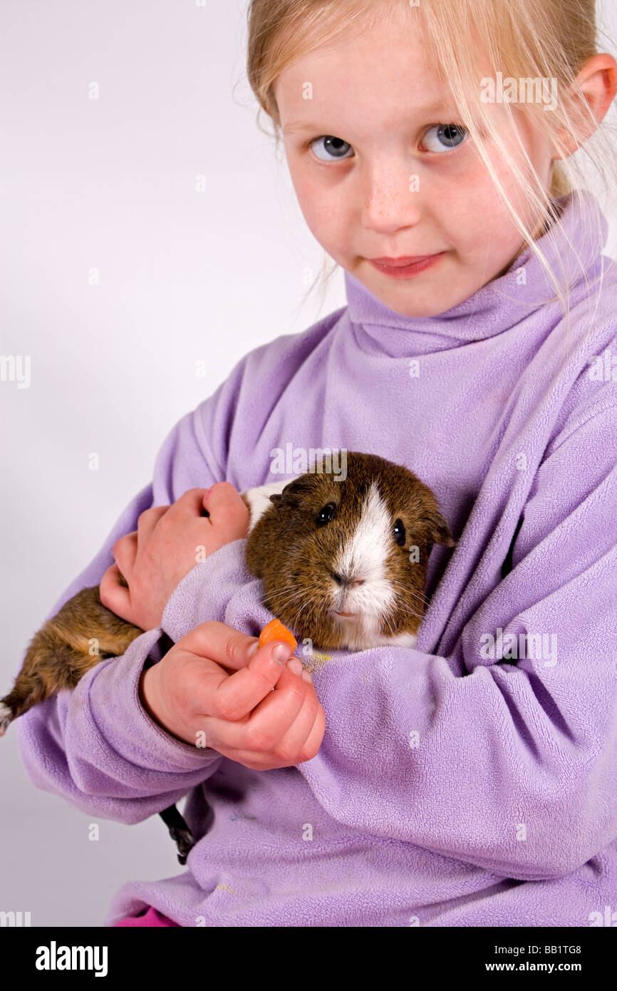 Young girl holding Guinea Pig Stock Photo - Alamy