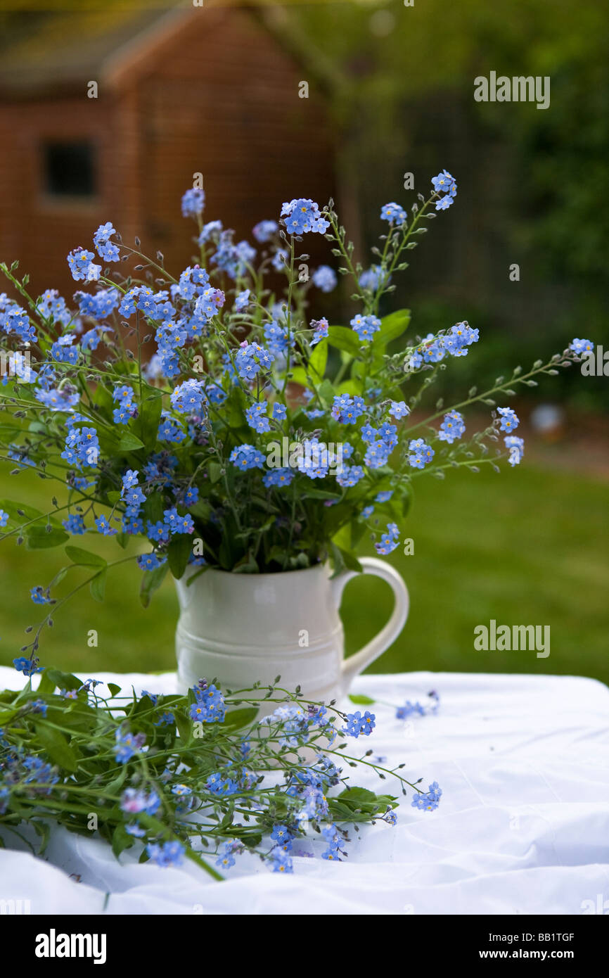 forget me nots Stock Photo - Alamy