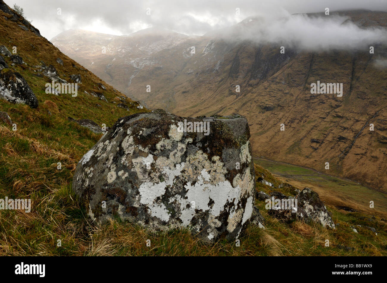 Lichen covered boulder Stob Dubh Glen Etive Scotland Stock Photo - Alamy