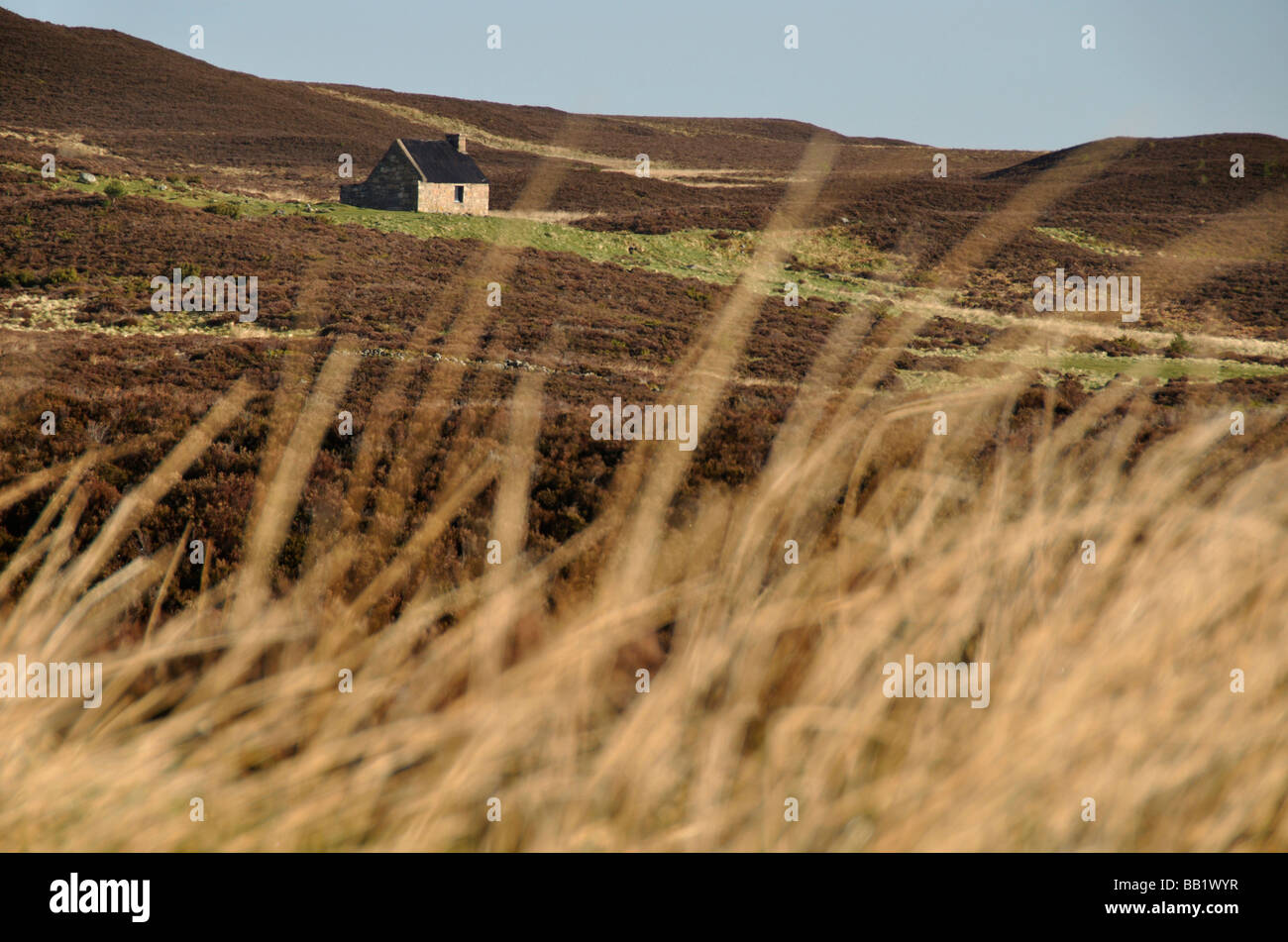 Ryvoan bothy Cairngorms Scotland Stock Photo - Alamy