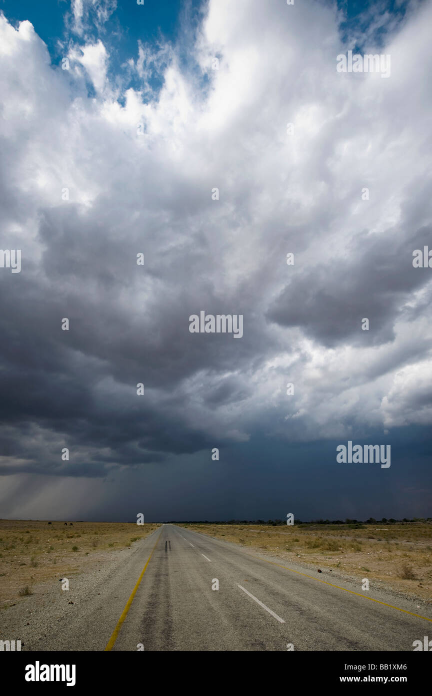 Landscape with tar road and storm clouds, Maun, Botswana Stock Photo ...