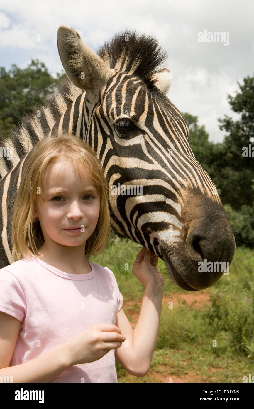 Young girl standing with zebra (Equus quagga), Gauteng Province, South ...