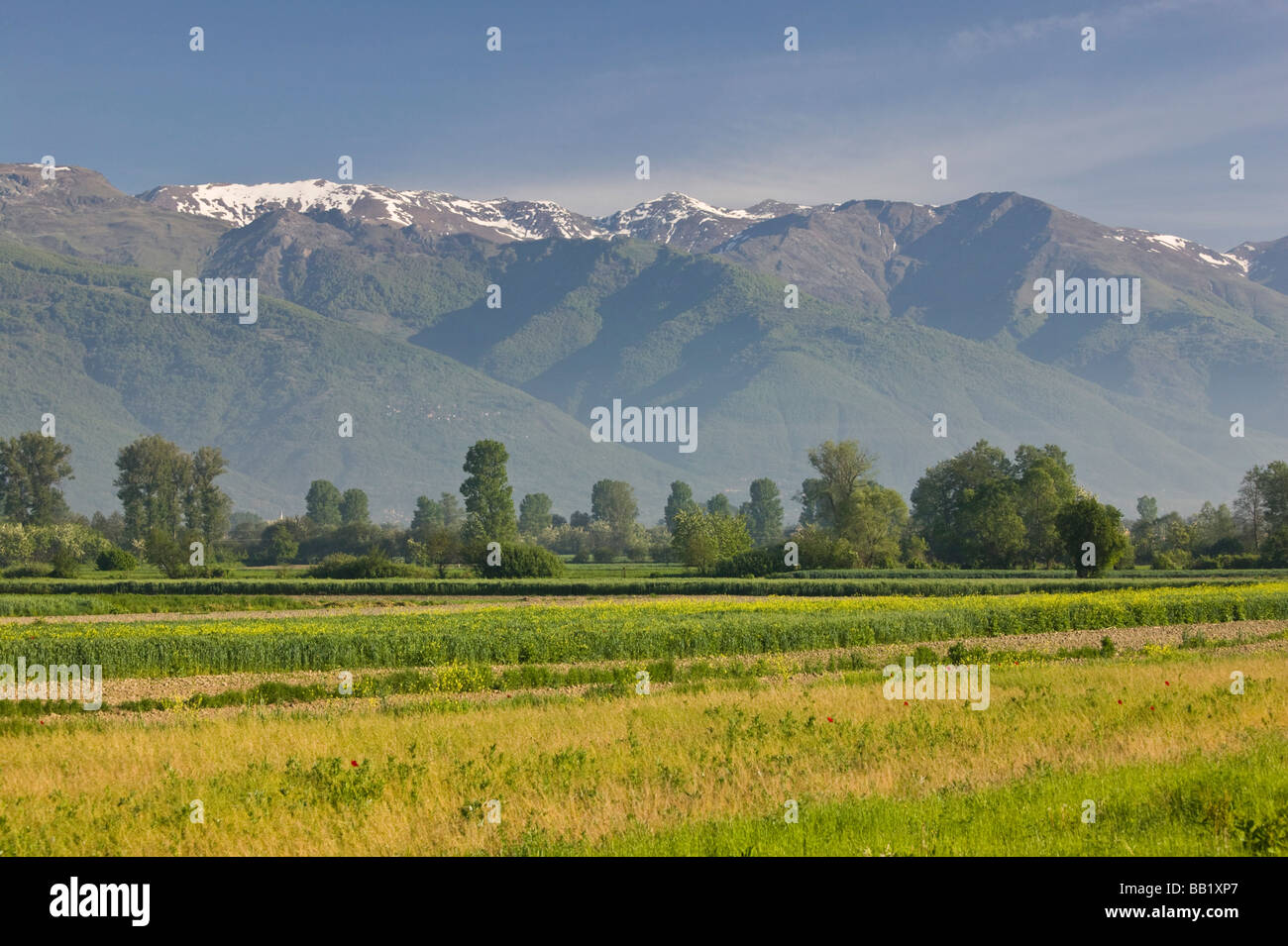 Sar Planina High Resolution Stock Photography and Images - Alamy