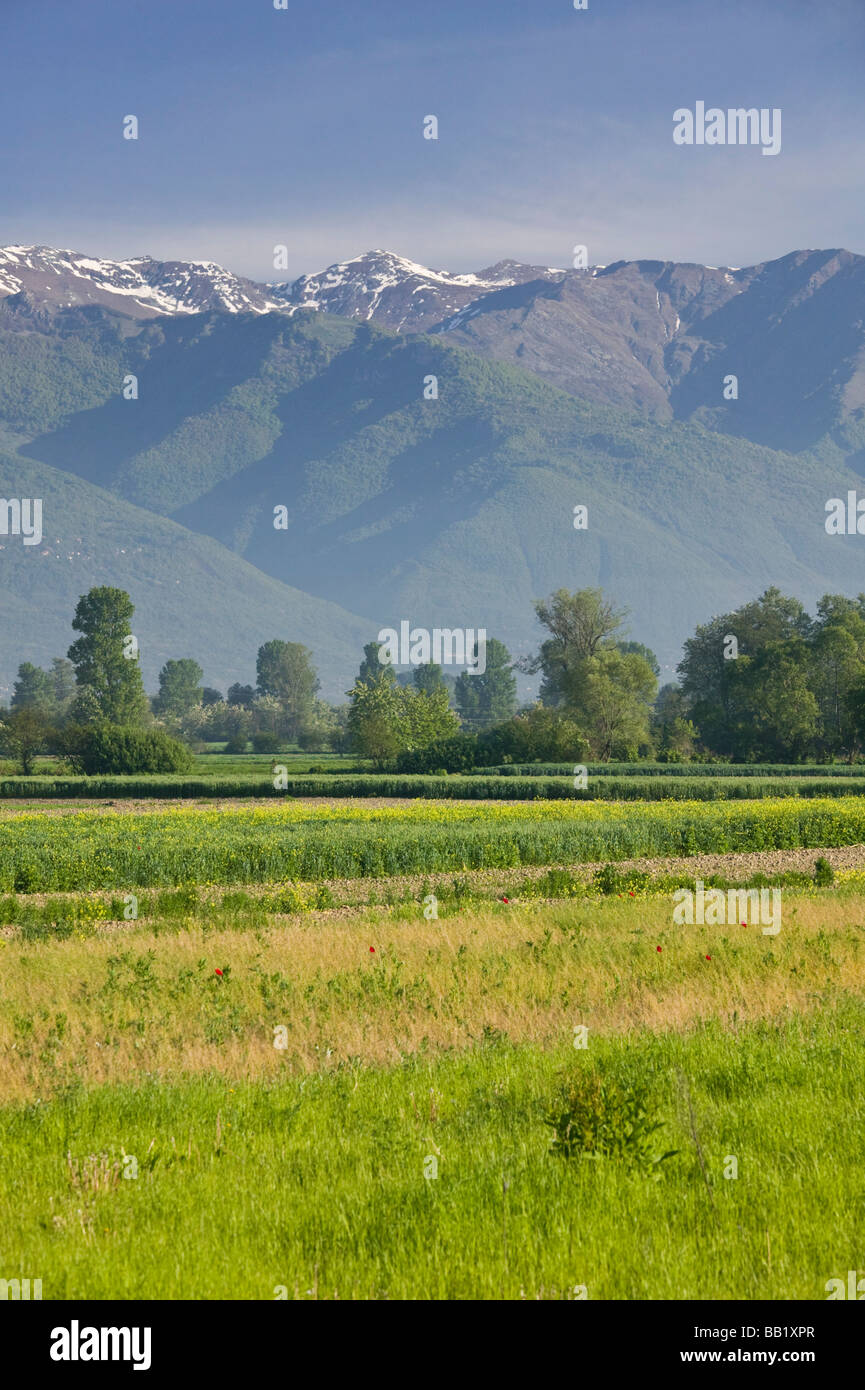 Sar Planina High Resolution Stock Photography and Images - Alamy