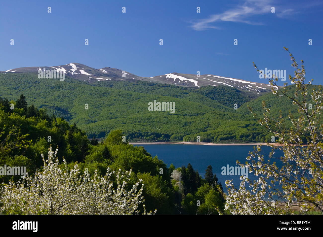 MACEDONIA, Mavrovo National Park. Springtime on Lake Mavrovo Stock ...
