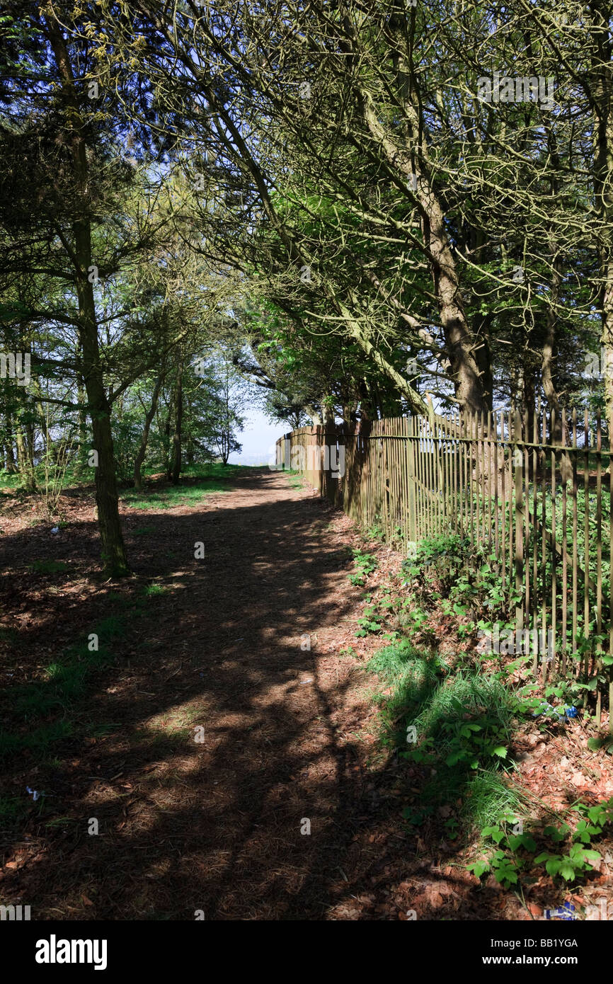 Country park beeches birmingham hi-res stock photography and images - Alamy