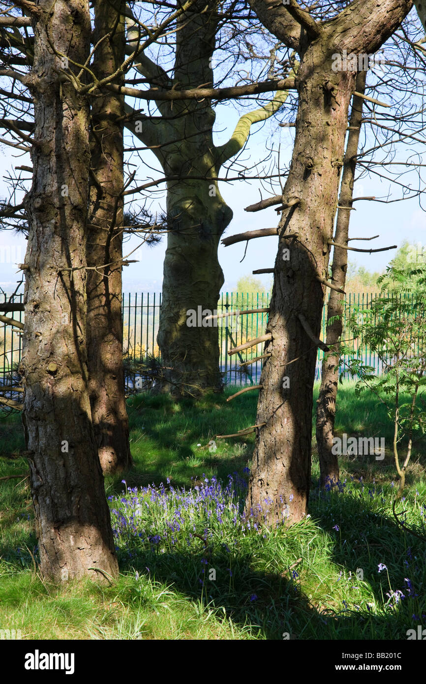 Great barr birmingham hi-res stock photography and images - Alamy