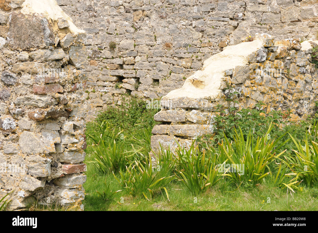 Old walls overgrown hi-res stock photography and images - Alamy