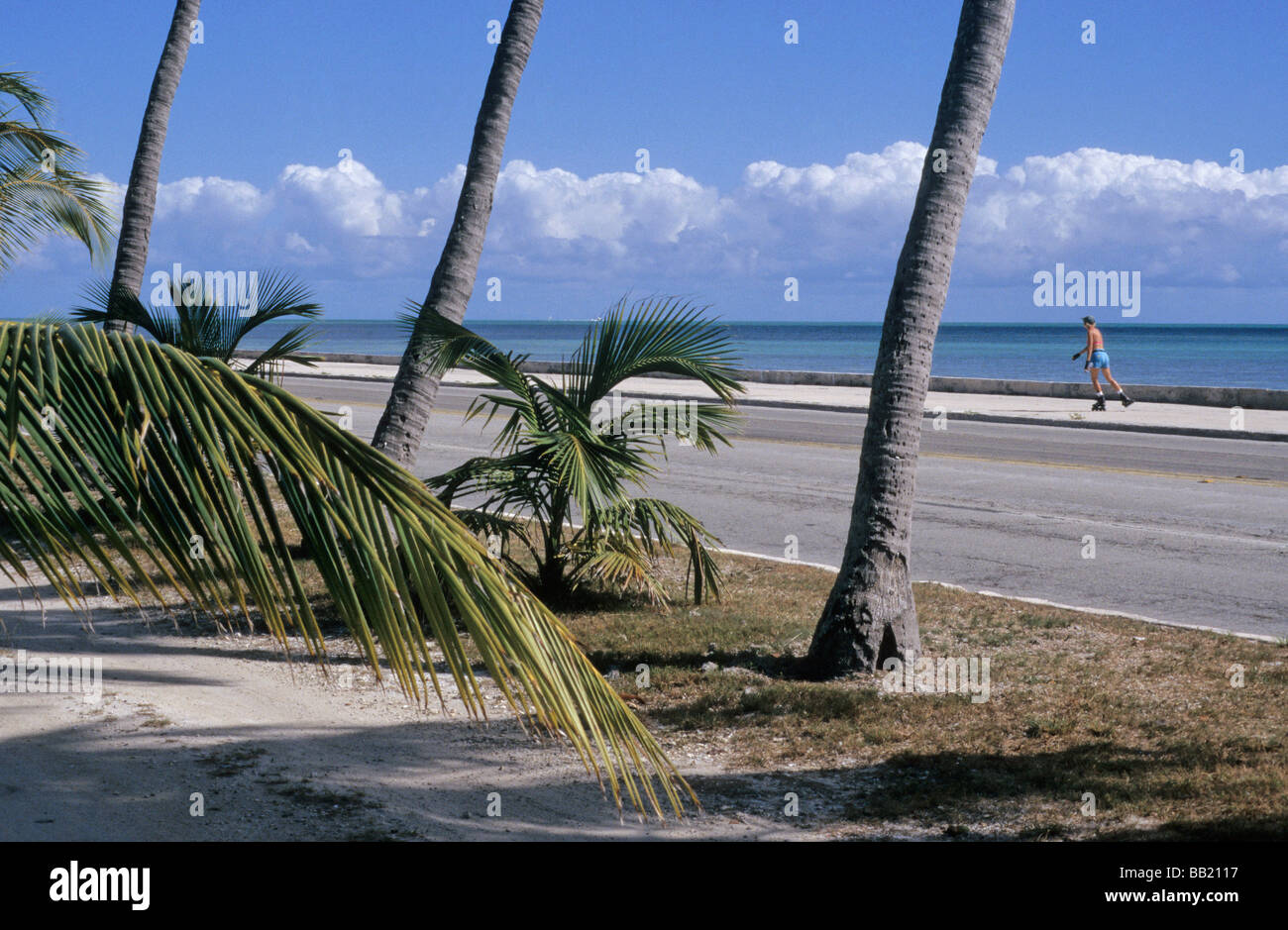 A woman roller skates along the waterfront Key West Island Florida keys ...